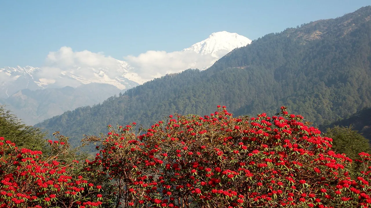 Ruby Valley Trek - Best Tour and Trekking Company in Nepal | Holy ...